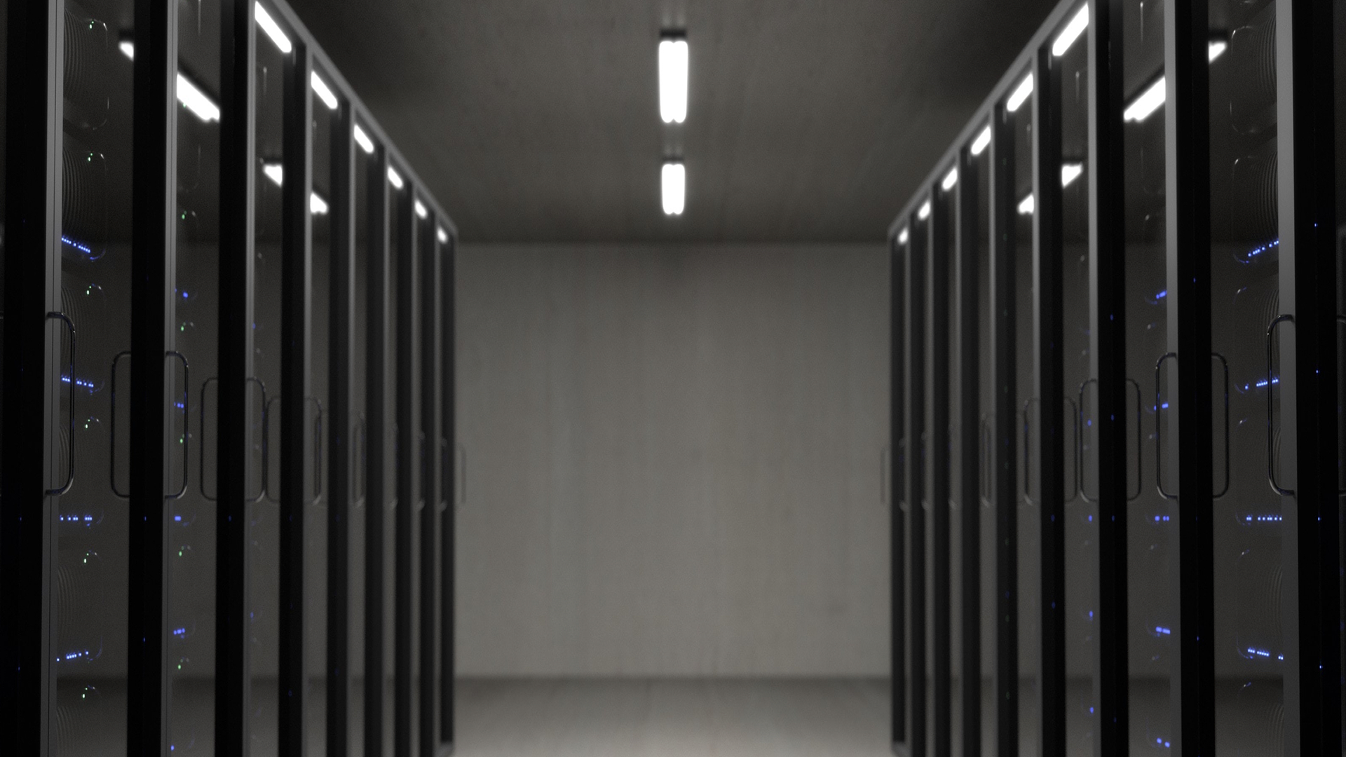 Dedicated Servers | High Bandwidth Servers | Colocation | IP Transit ...